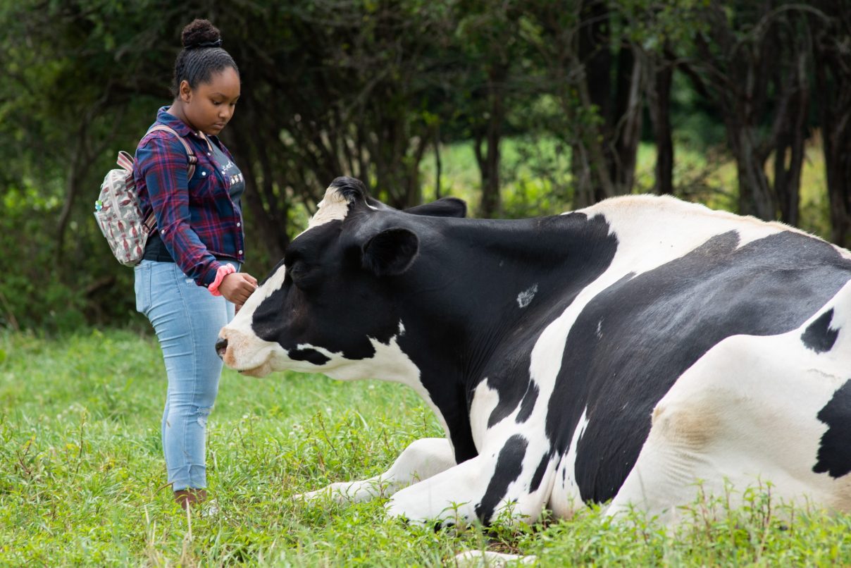 11 Black Vegans Who Are Changing the World - Farm Sanctuary