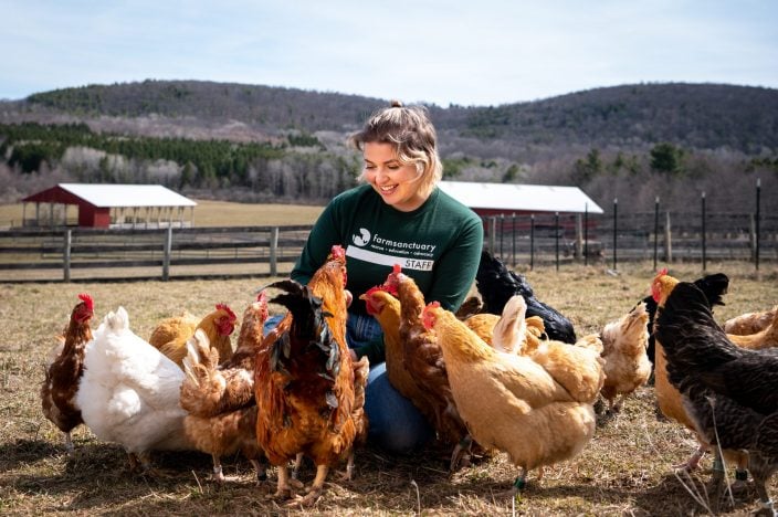Farm Sanctuary | We Envision a World Where Sanctuary Replaces Exploitation