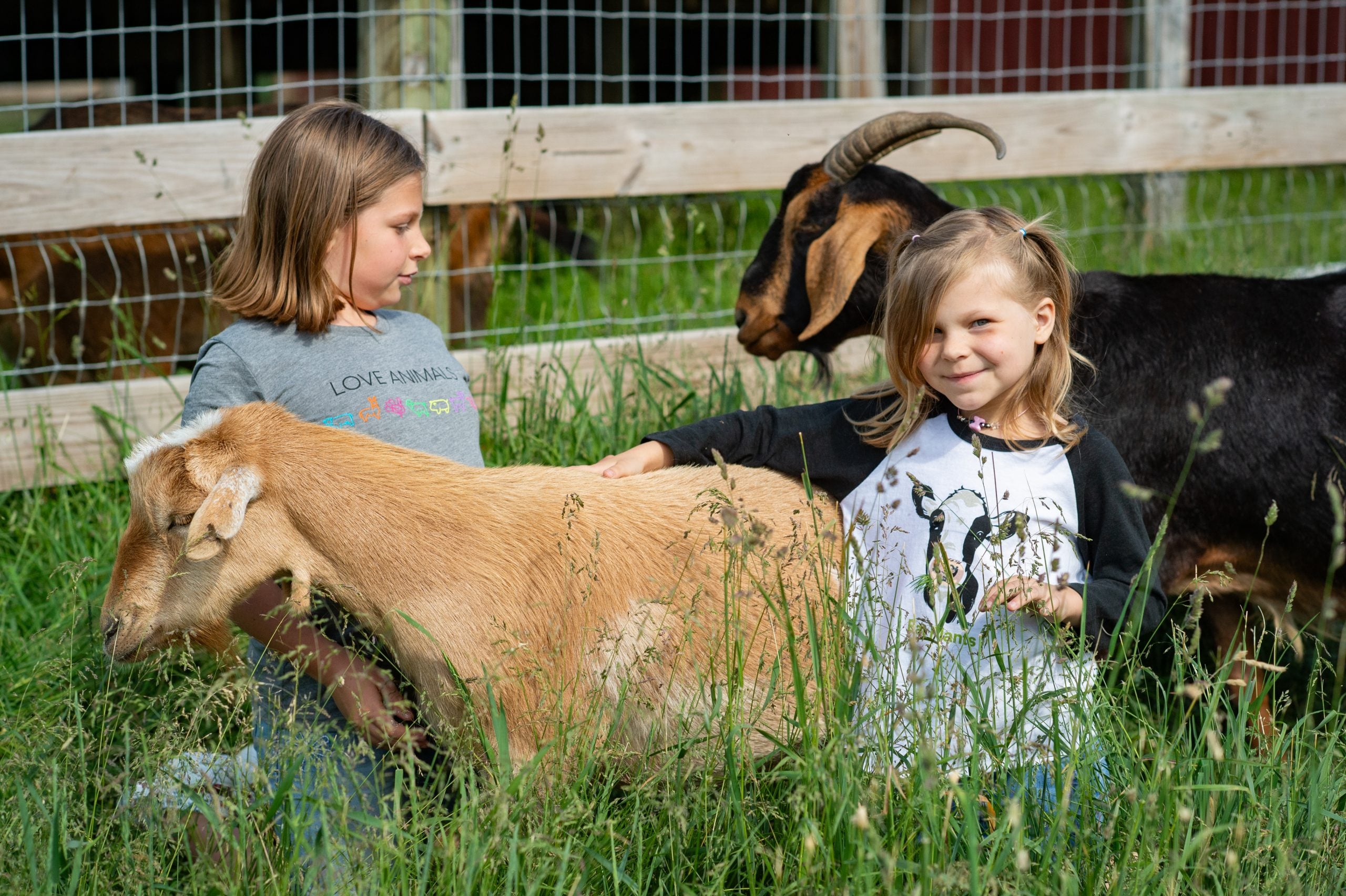 Six Simple and Fun Ways Young Kids Can Help Farm Animals - Farm Sanctuary