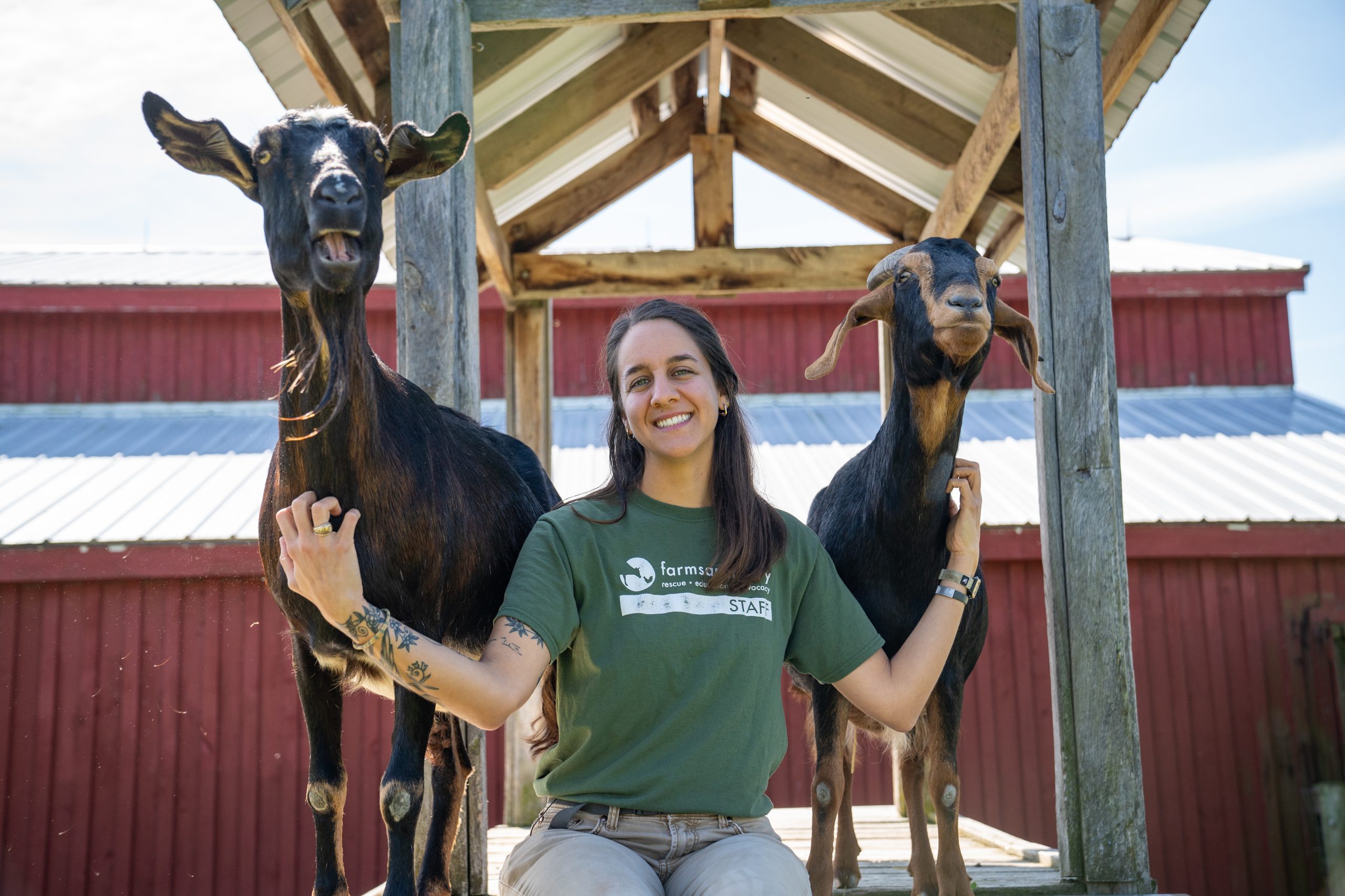 Farm Sanctuary | We Envision a World Where Sanctuary Replaces Exploitation