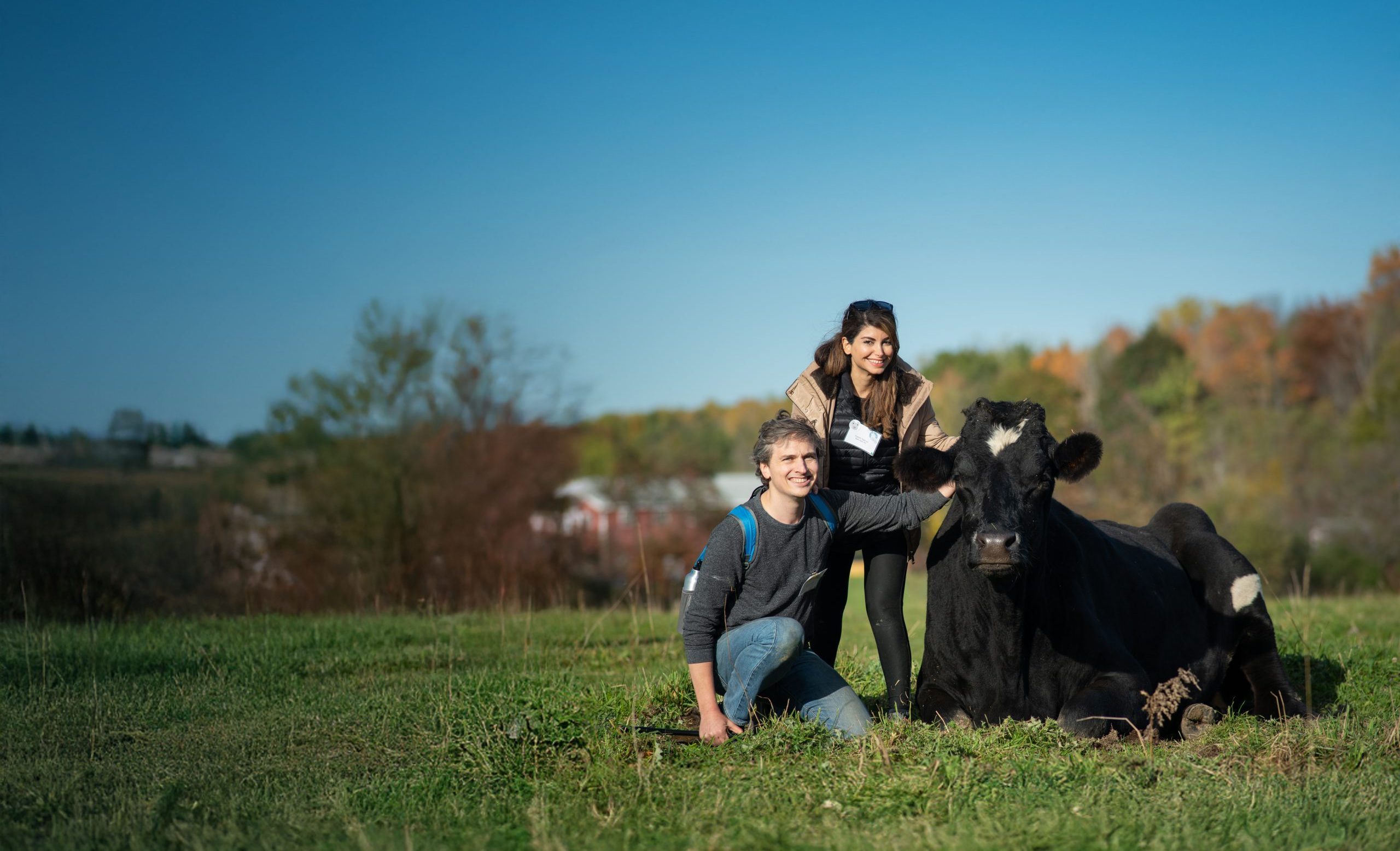 Lose the Herd Mentality About Sheep: They’re Actually Highly ...