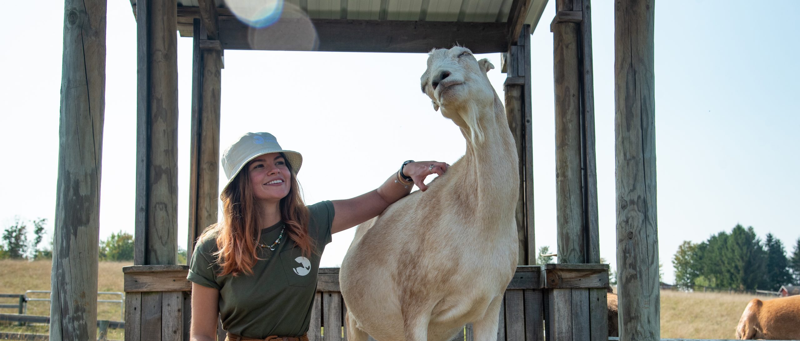 The Real Happy Animals of Farm Sanctuary - Farm Sanctuary