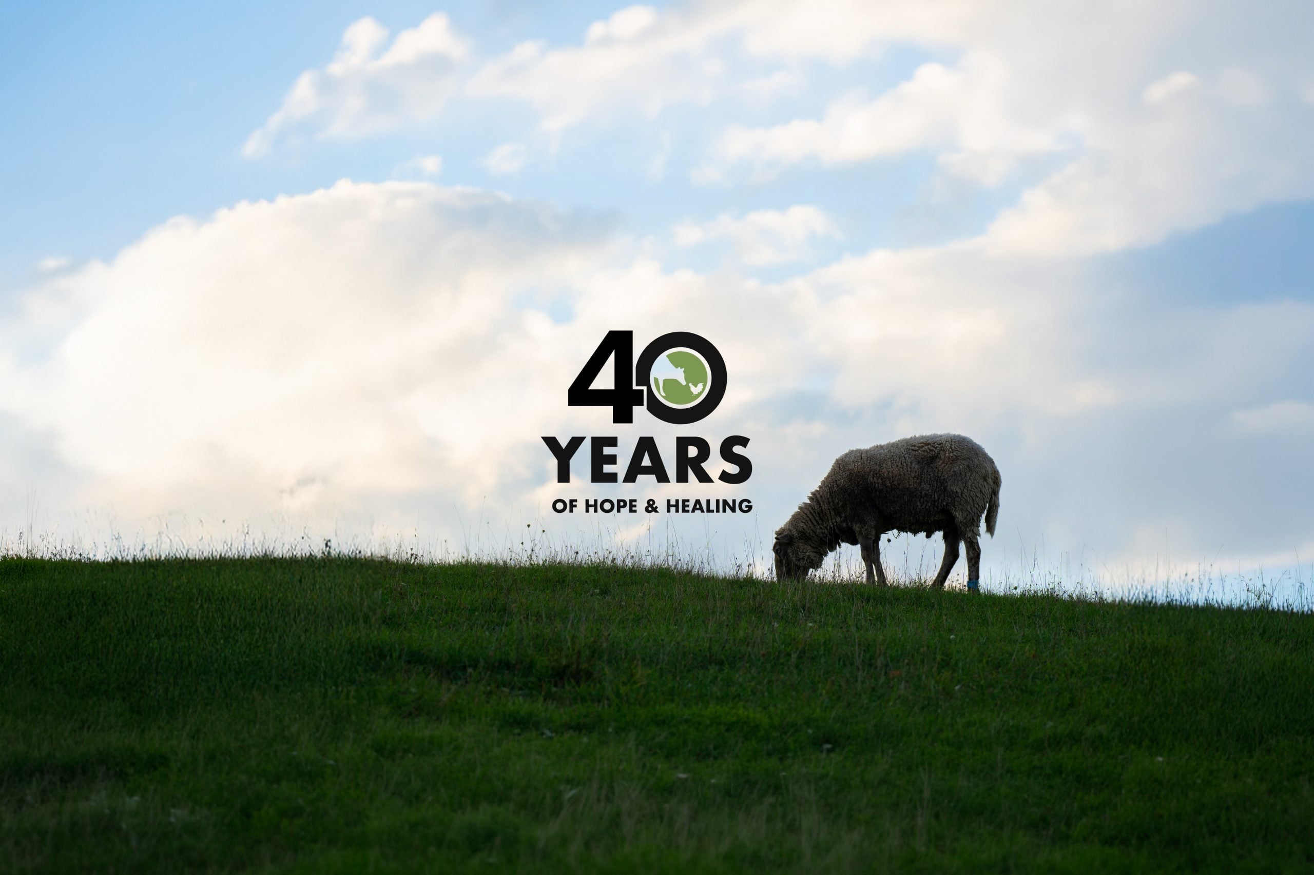 Farm Sanctuary | We Envision a World Where Sanctuary Replaces Exploitation